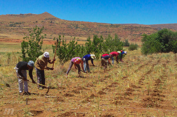 Farming God's Way | Africa Immersion - EM